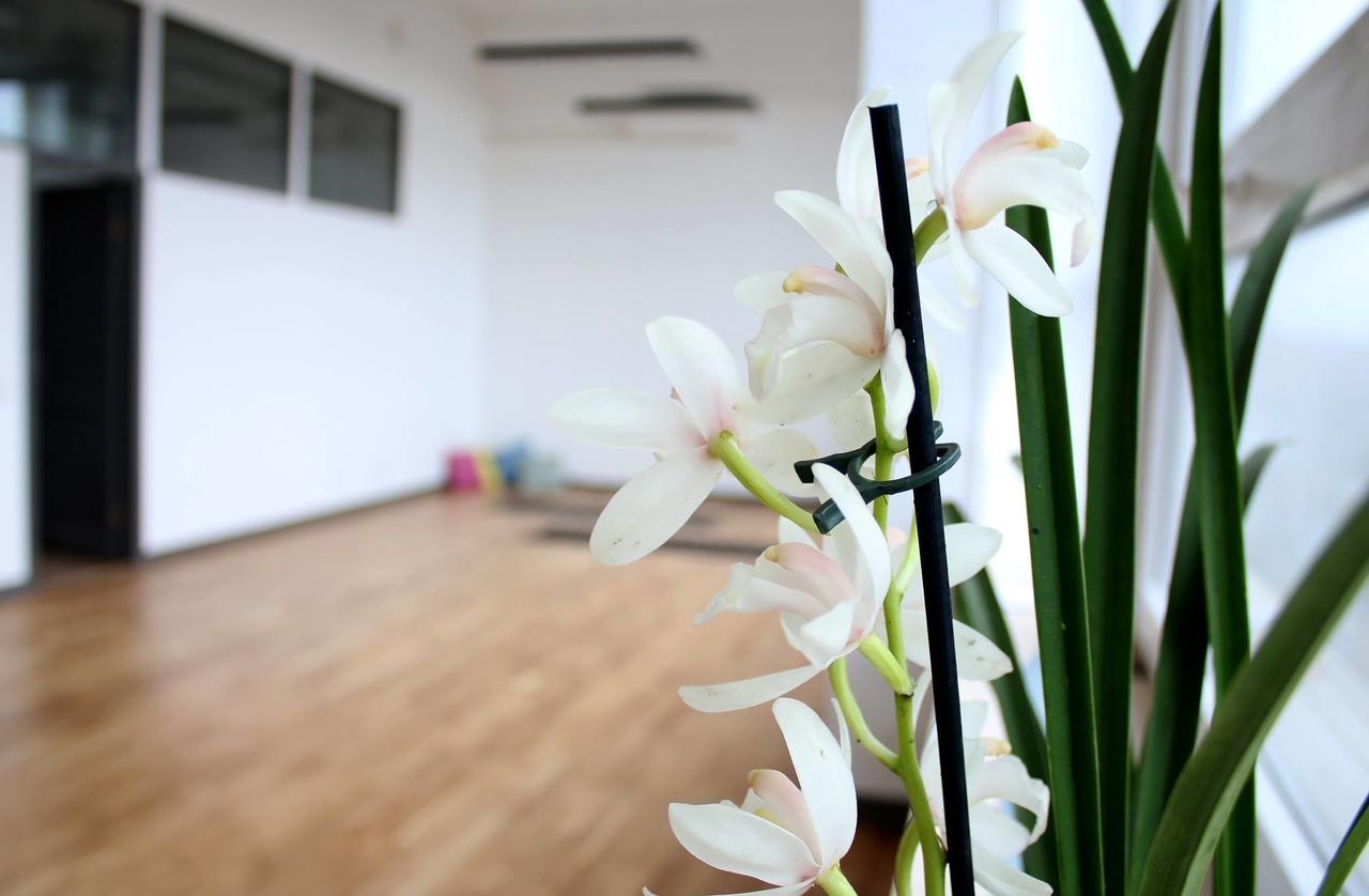 stuudio samm — Aparaaditehas